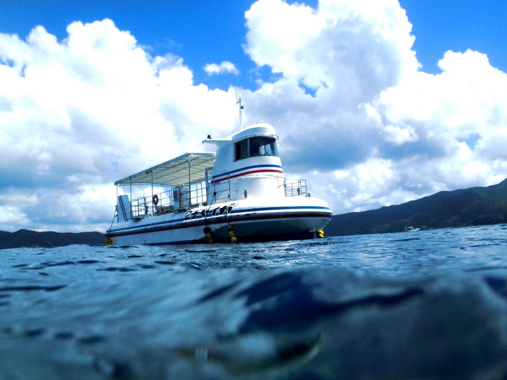 写真集 | 愛媛大学 南予水産研究センター